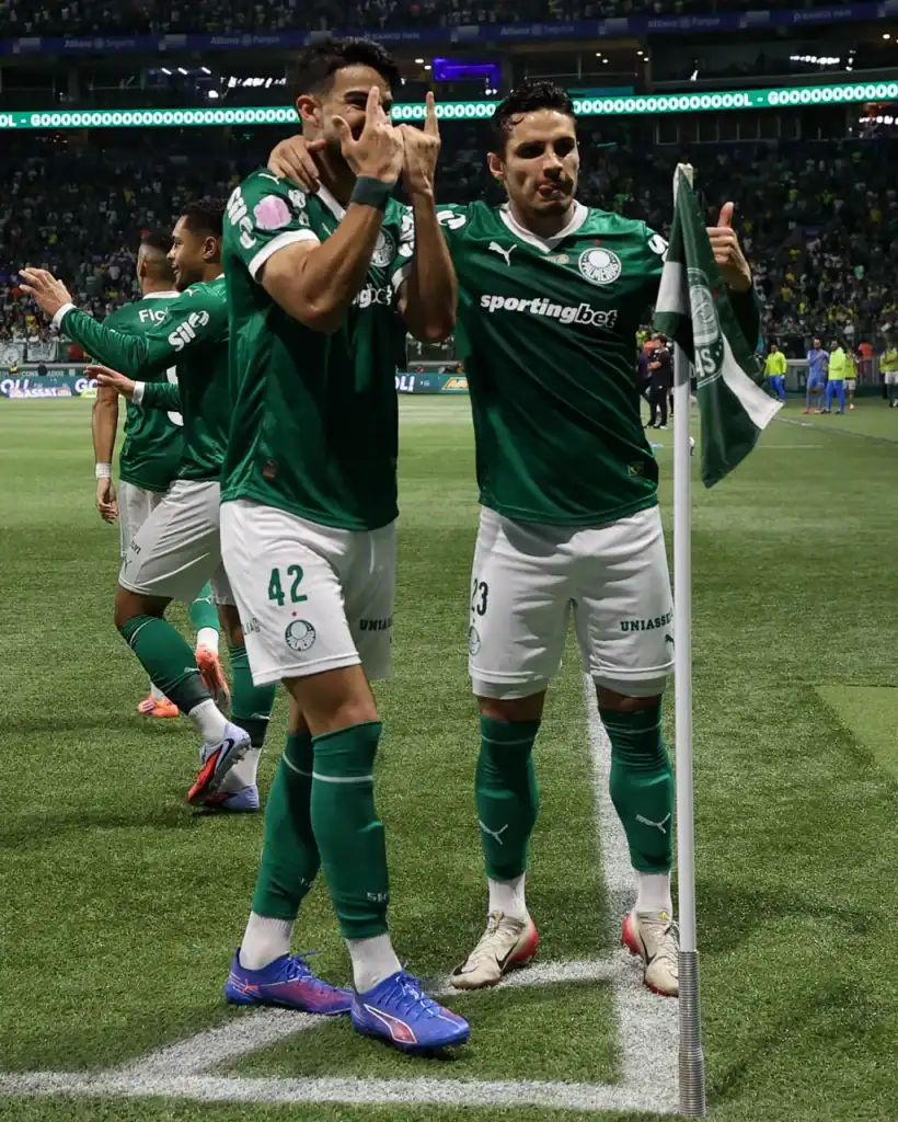 Palmeiras contra Vasco: confira imagens da partida da 26ª rodada do ...